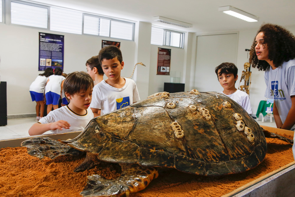 UFRN transforma Museu de Ciências Morfológicas em unidade suplementar ...